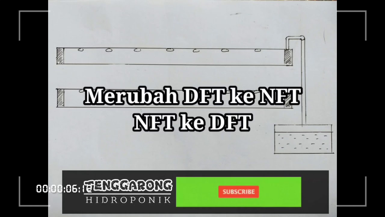 Merubah sistem DFT ke NFT atau sebalikxa - YouTube