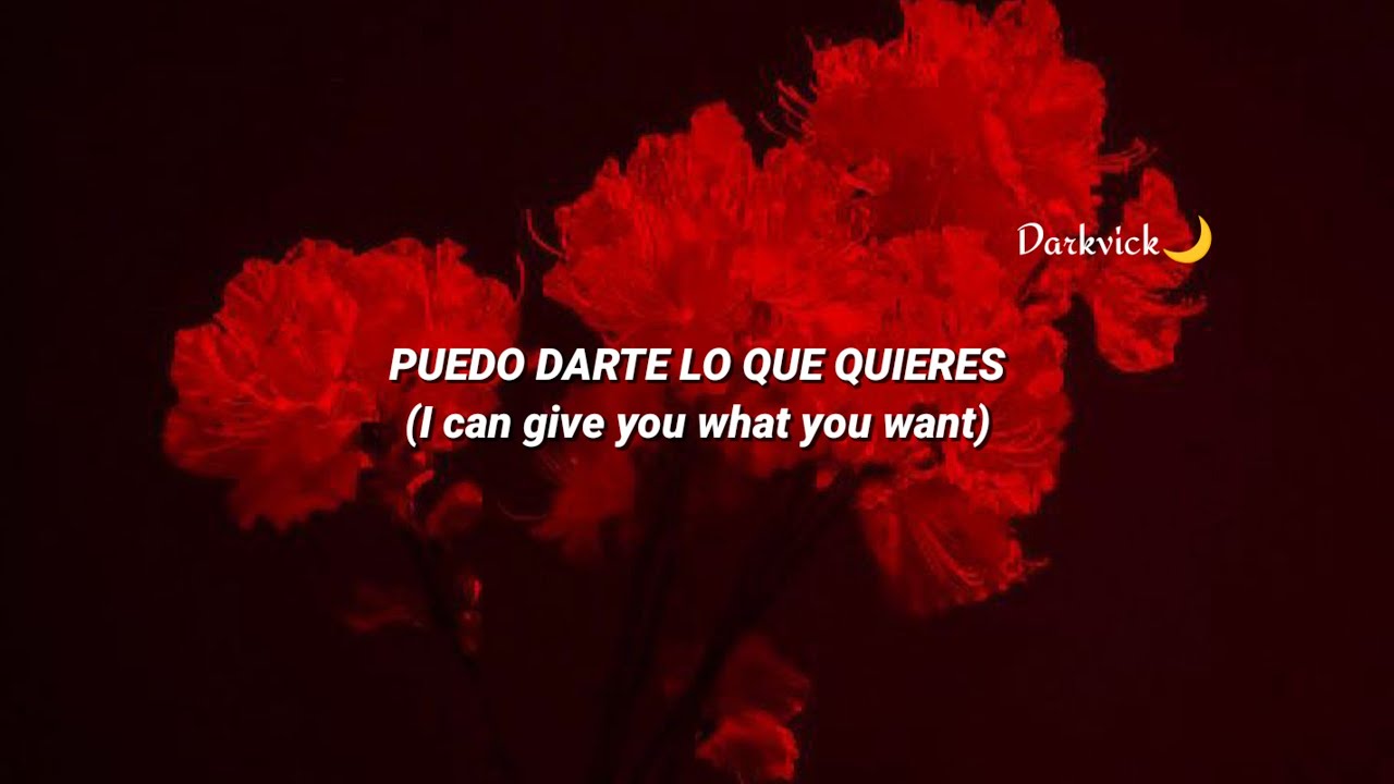 Sleep Token - Provider / Sub español (lyrics)
