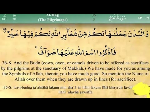 Para no 17 , Sarah hajj Most beautiful recitation of Surah Al Hajj# ...