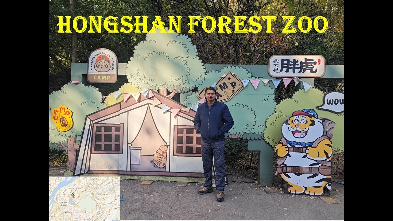 Hongshan Forest Zoo | Nanjing | Complete Tour - YouTube