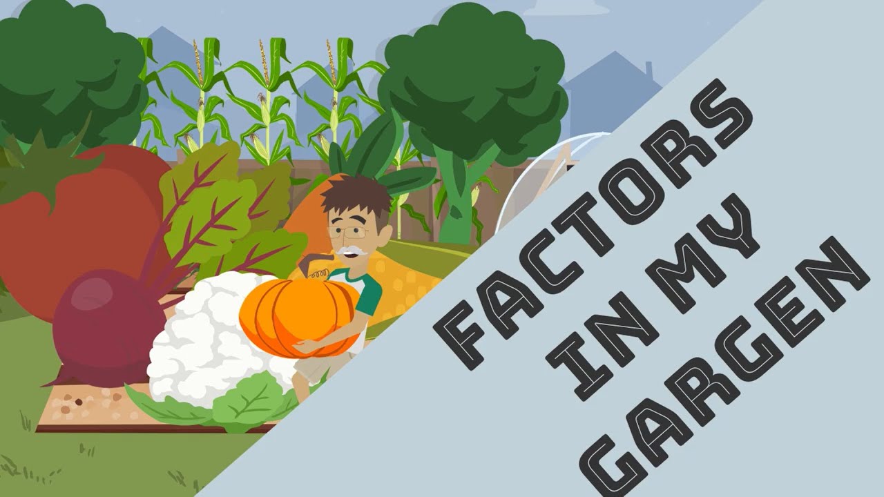 Factors in My Garden - YouTube