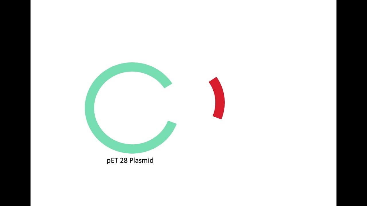 Plasmid animation - YouTube