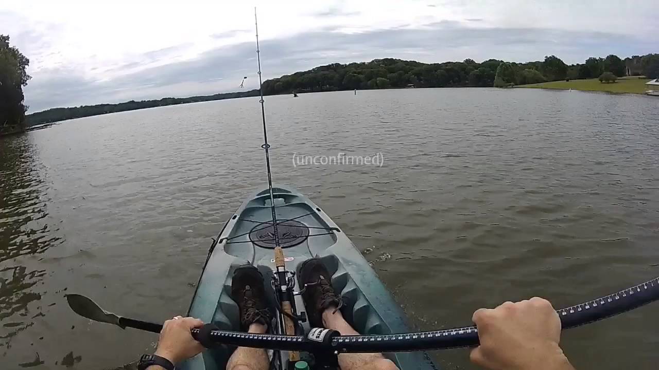 New TN State Record Fish (unconfirmed) Kayak Fishing for Bass - YouTube