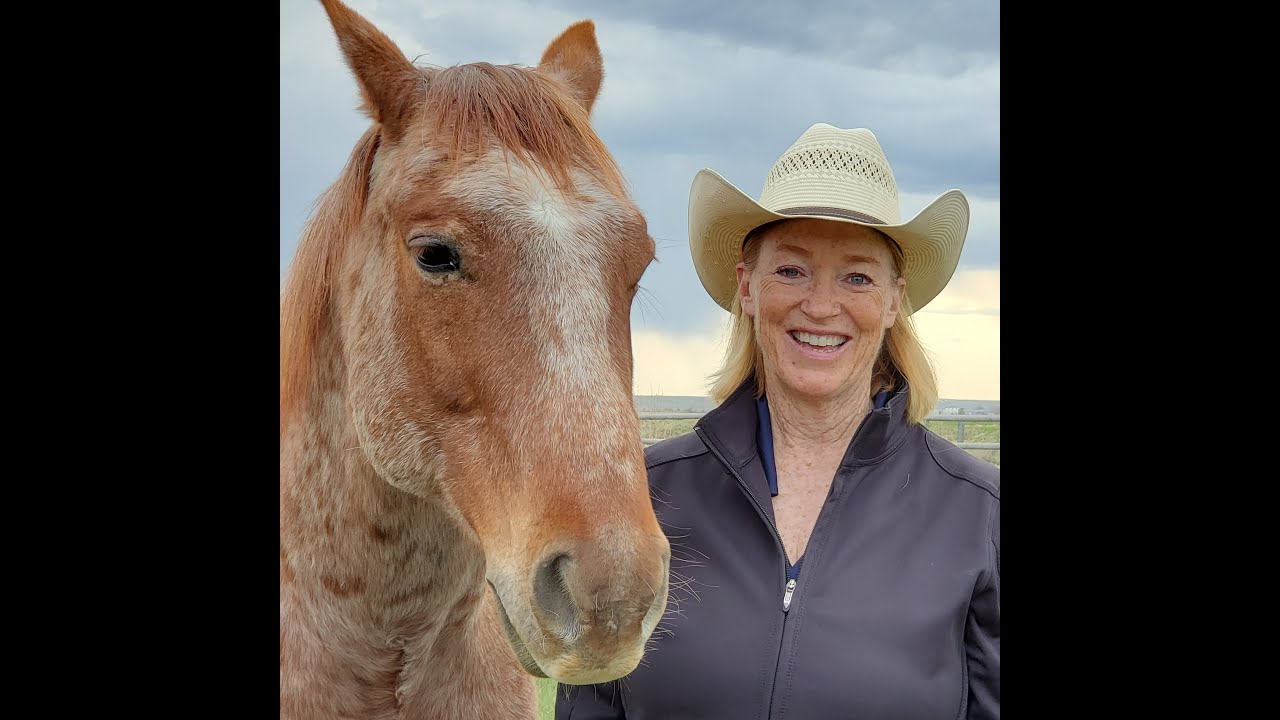 Cattle Market Outlook - Anne Wasko - YouTube