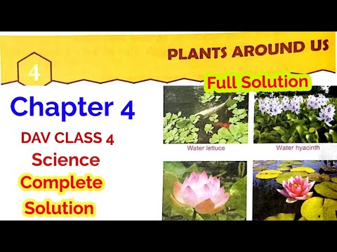 DAV Class 4 Science Chapter 4:Plants Around Us Question Answer | DAV ...