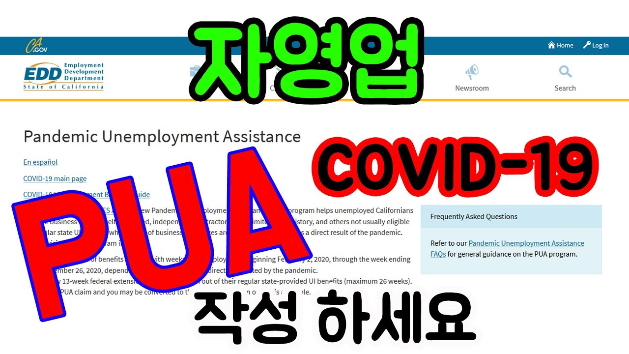 캘리포니아 PUA (Pandemic Unemployment Assistance) 작성 4.28.2020 - YouTube