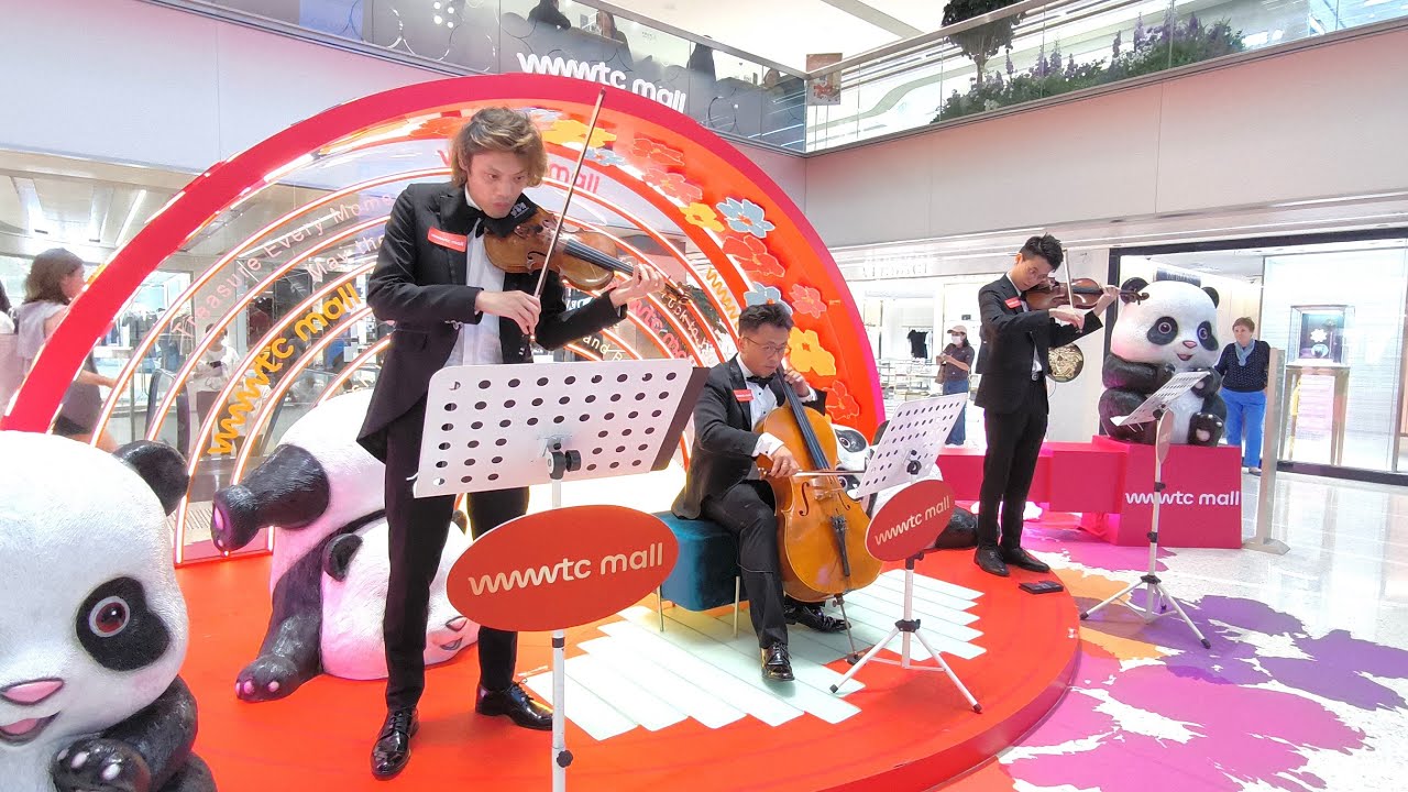 【Mini Orchestra】(2024.11.9) - YouTube