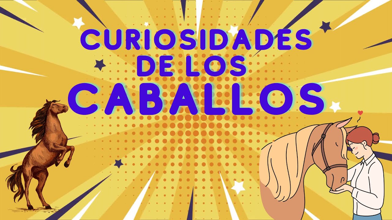 CURIOSIDADES DE LOS CABALLOS - YouTube
