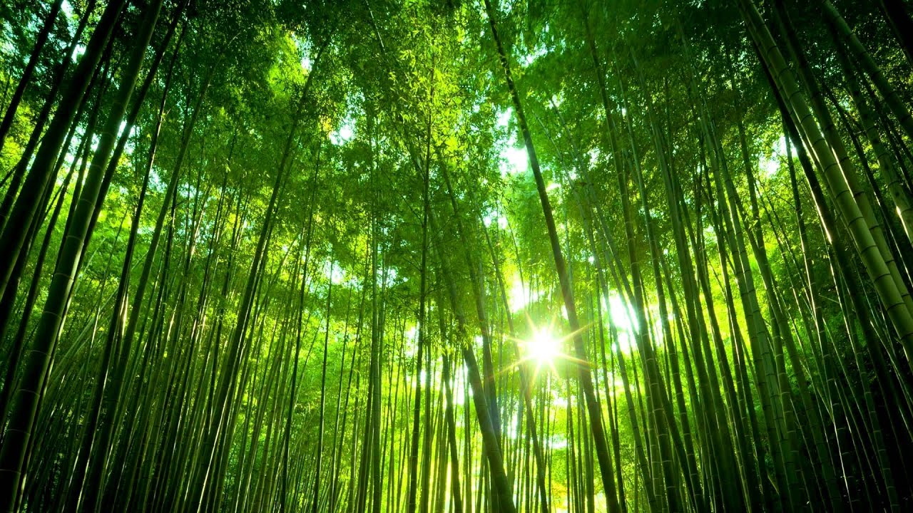 Long Zen Meditation Music - 1 Hour Calm New Age Songs for Meditation ...