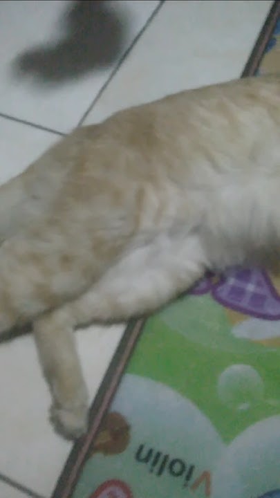 tidurlah yang lelap G 15.33#shortz - YouTube