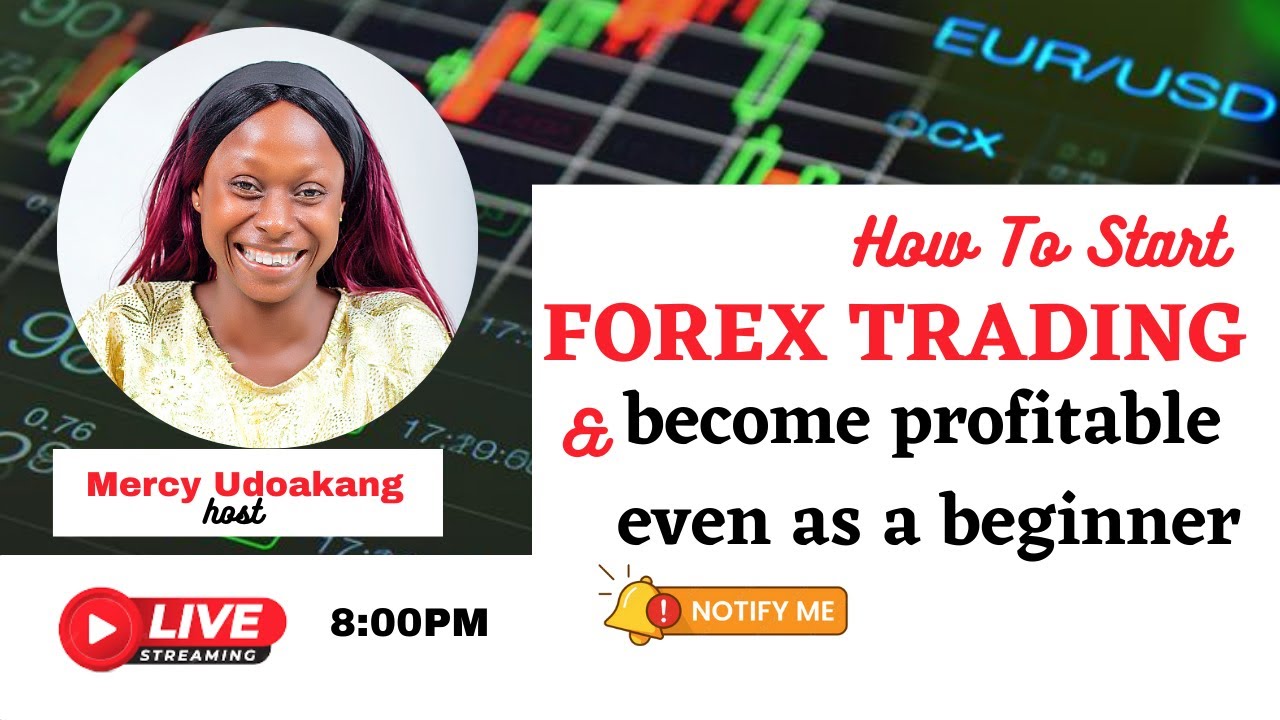 How to Start and Become a Profitable Forex Trader Even if You are a ...