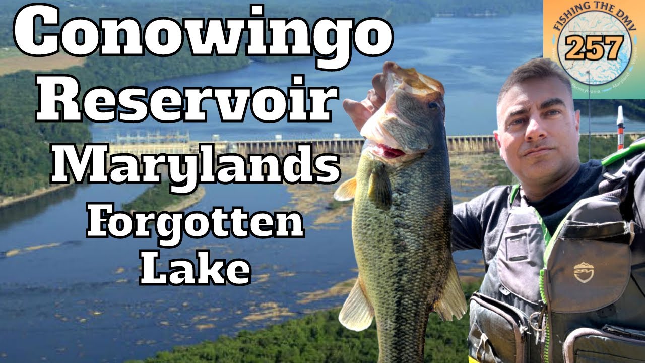 Conowingo Reservoir Bass Fishing with MAKBF event Champion Mickey ...