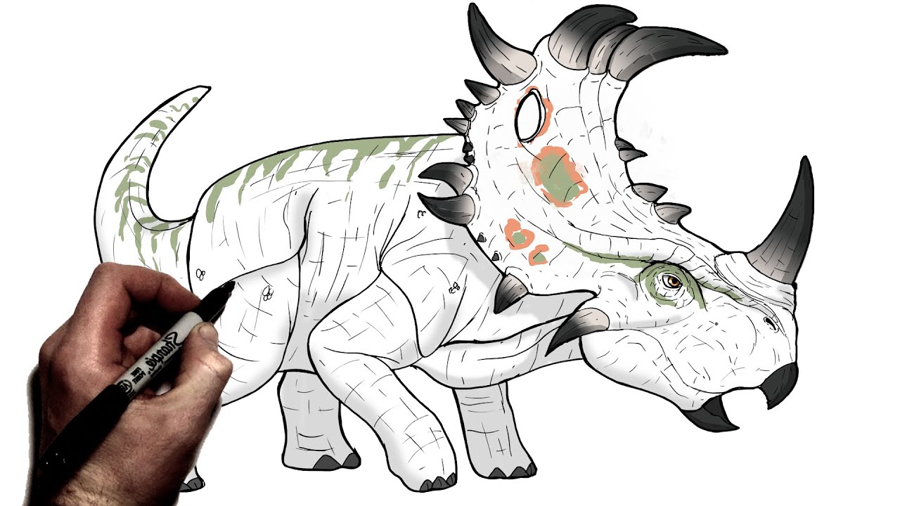 How To Draw Sinoceratops | Step By Step | Jurassic World - YouTube