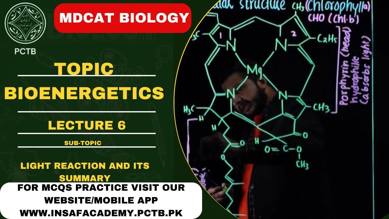 LIGHT REACTION AND ITS SUMMARY || BIOENERGETICS || MDCAT/NUMS || - YouTube