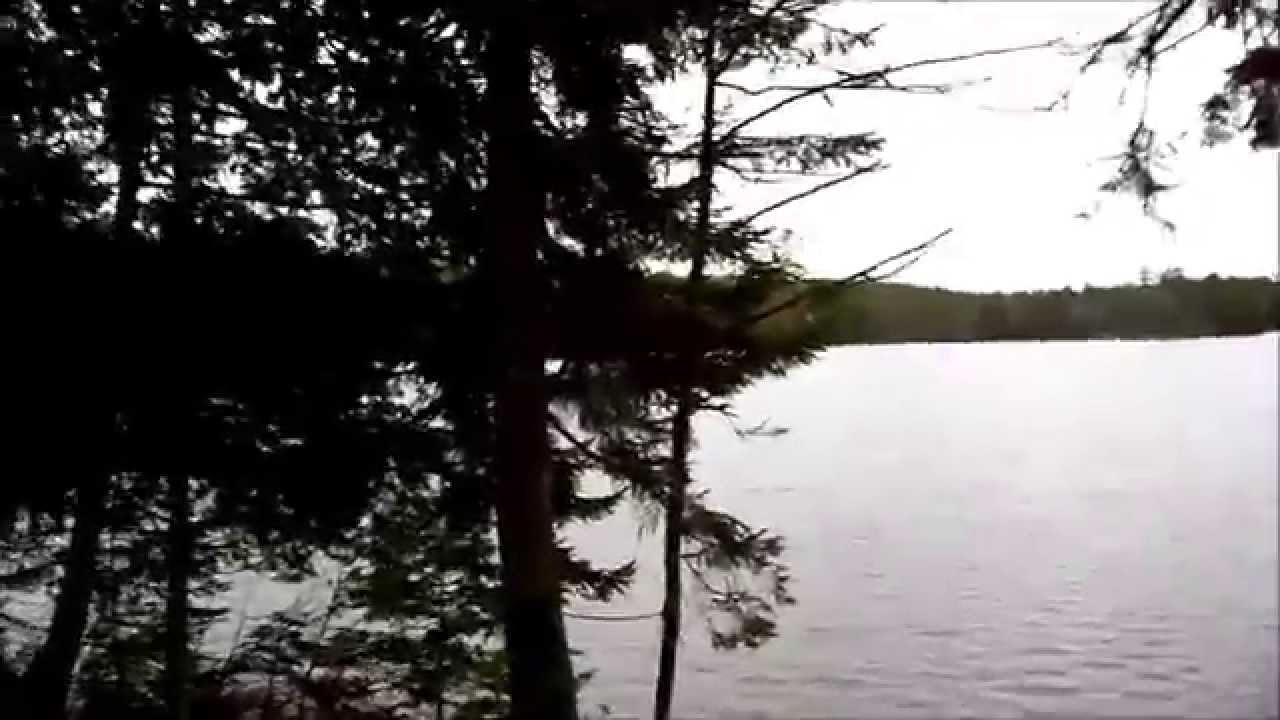 Flight of geese and lean to at Scraggly Lake, Nov 1, 2014 - YouTube
