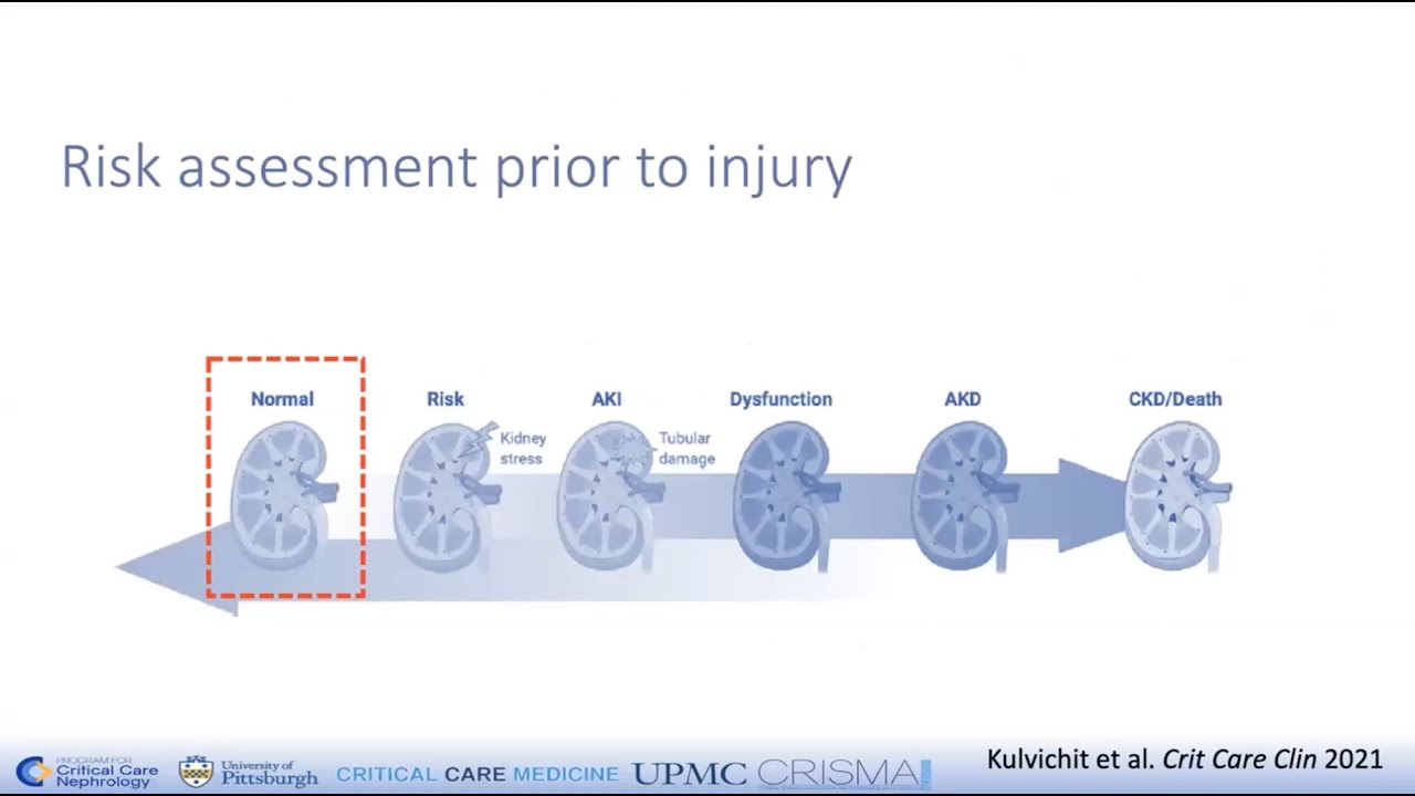 Reimagining Kidney Function Assessment Workshop - YouTube