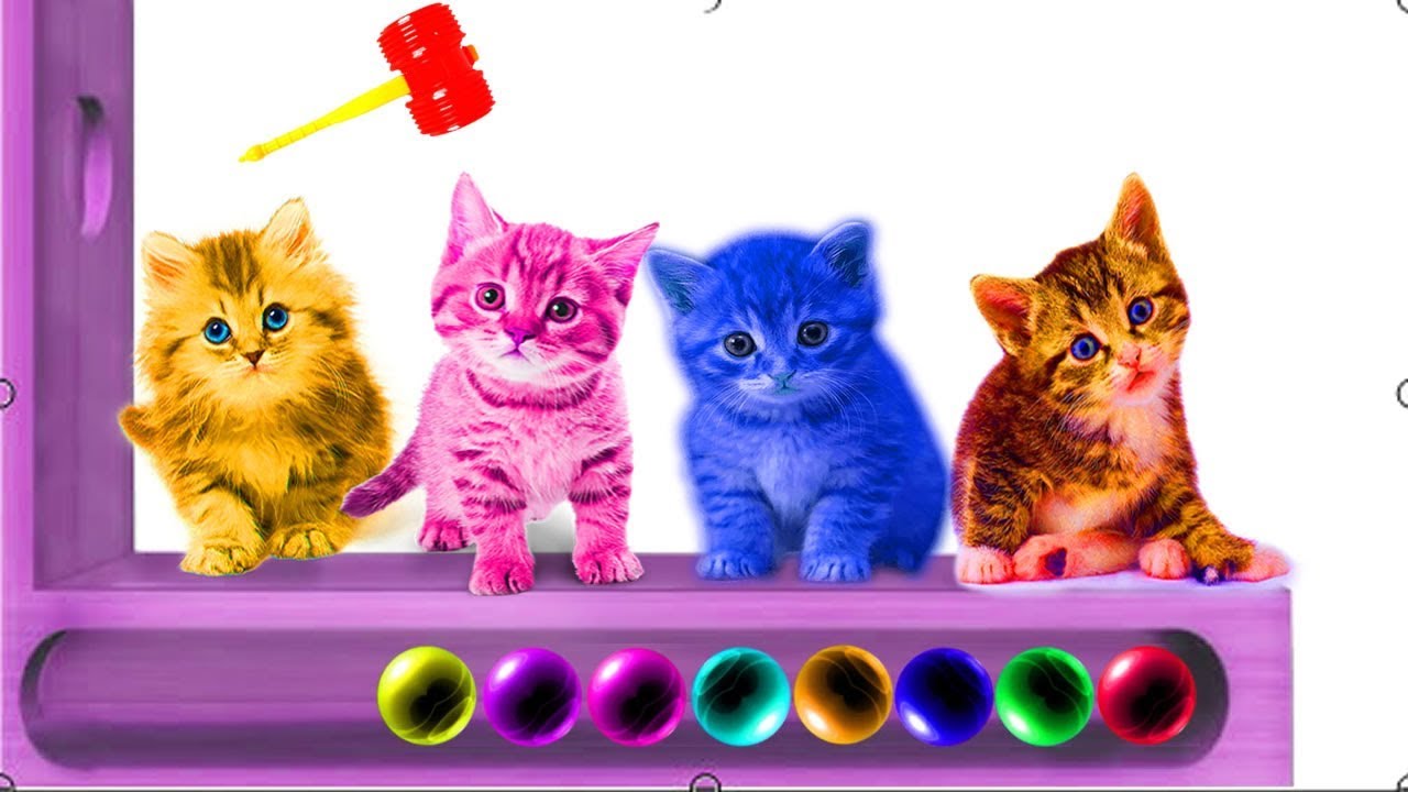 Learn color With Cats - learn colors with Cats - learn colors with ...