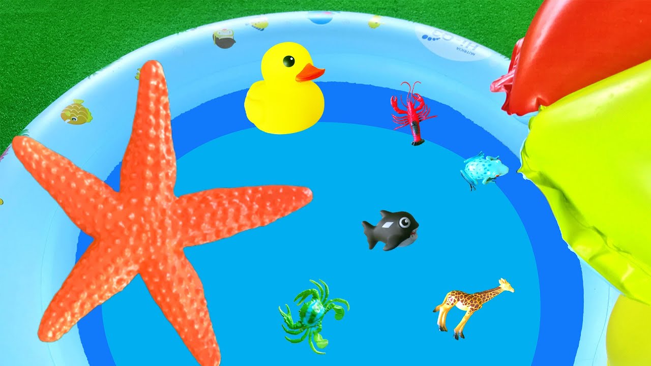 Pool of Animals for Kids - Learn Zoo and Sea Animal Names | Toys for ...