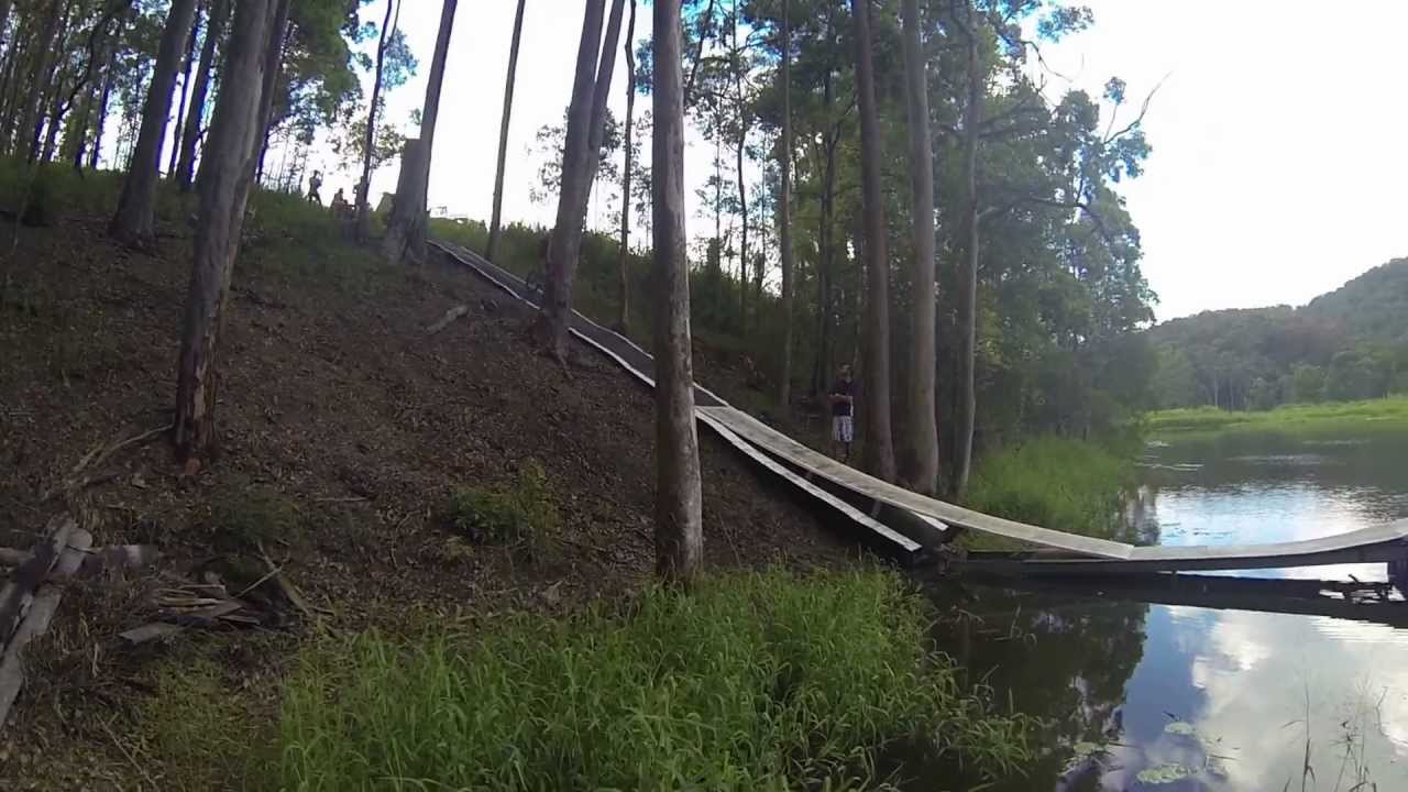 Flying wombat - YouTube