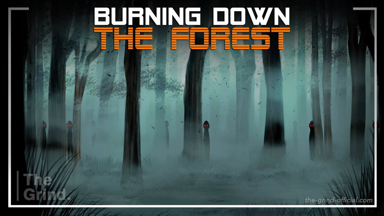 Burning Down The forest | Steve Quayle | The Grind Series - YouTube