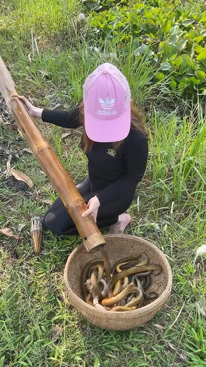 Survival eel trapping skills for a lot of giant eel fish - YouTube