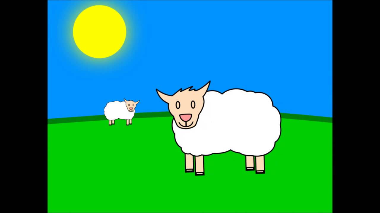 Schaap - Dierenfabriek animatie - YouTube