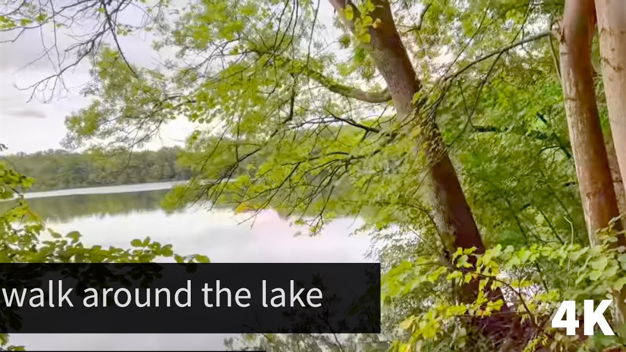 20 minutes - Evening Walk Around The Lake - 4K virtual walk - YouTube