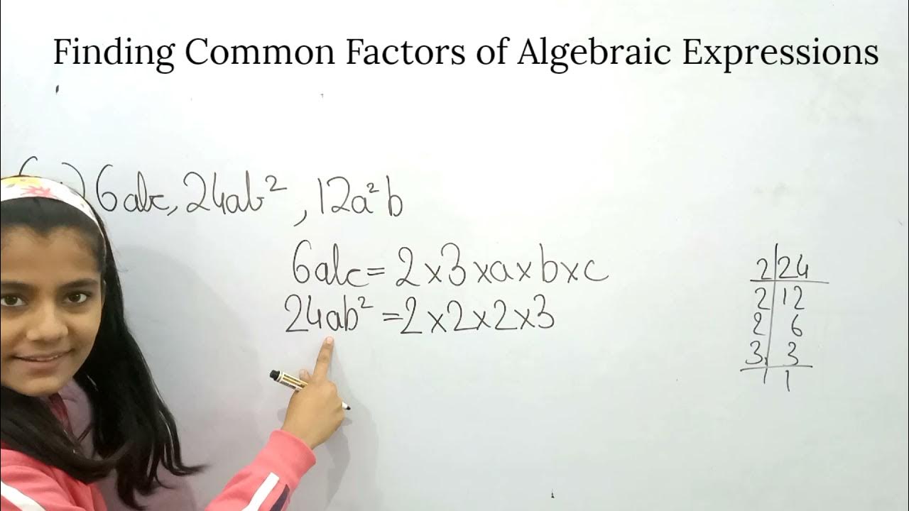 Finding Common Factors of Algebraic Expressions|Maths class 8|Factorisation|Smart Learning - YouTube