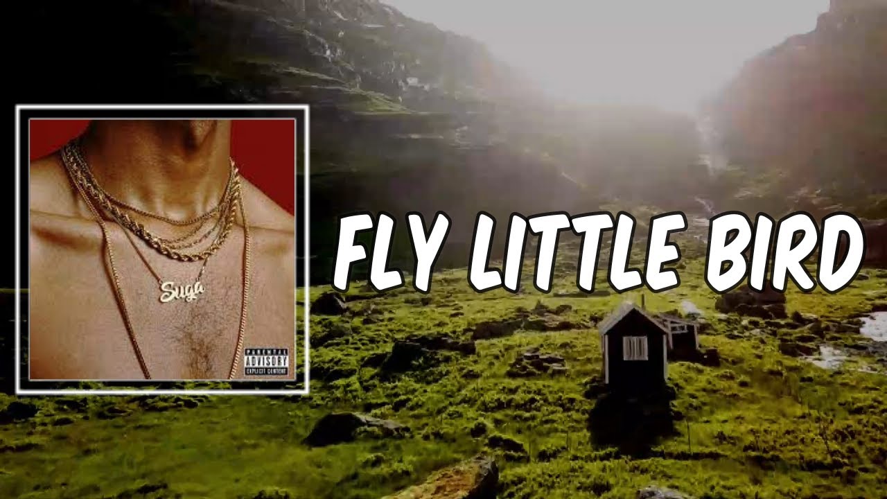 Lyric: Fly Little Bird by Kyle Dion - YouTube