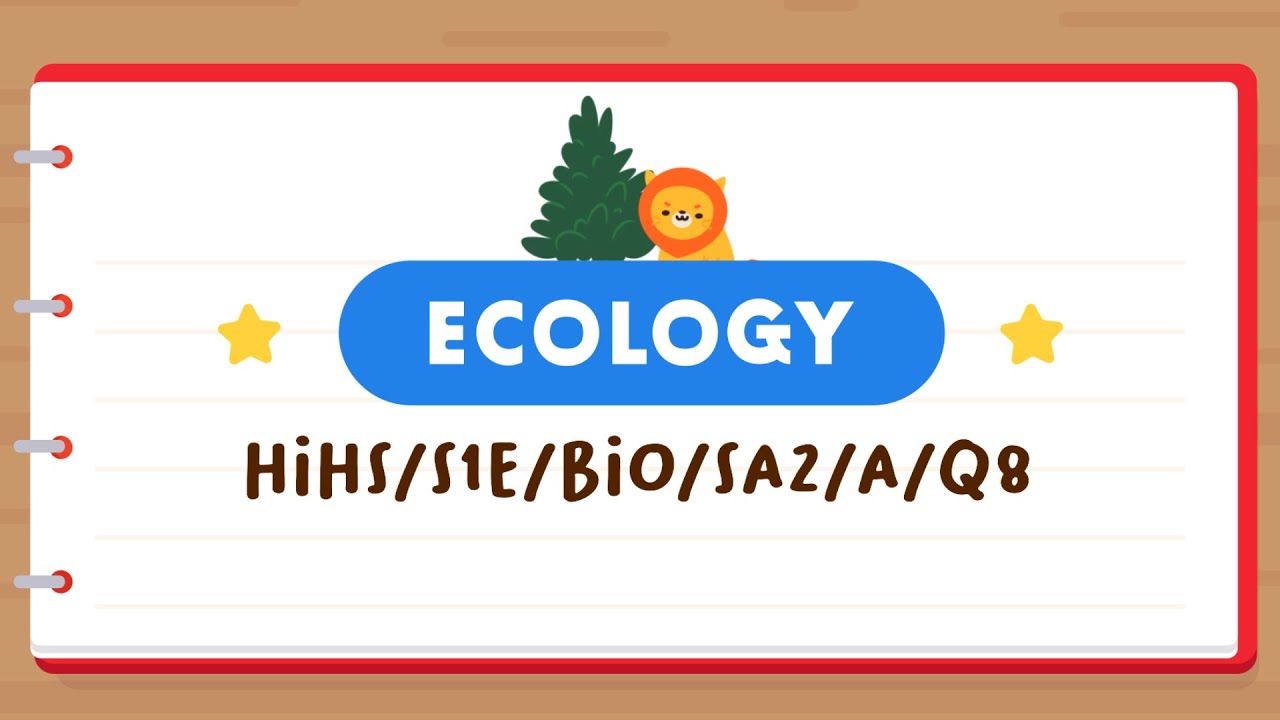 SCIENCE MADE SIMPLE EP51 | Ecology | Which Pyramids Best Represent The ...