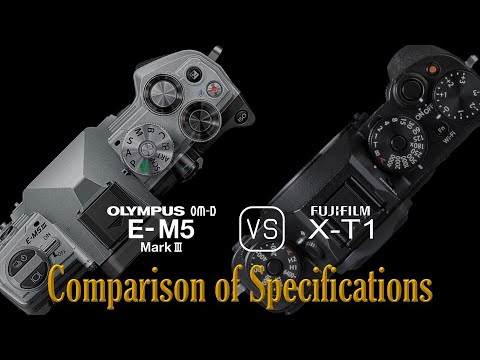 Olympus OM-D E-M5 Mark III vs. Fujifilm X-T1: A Comparison of ...