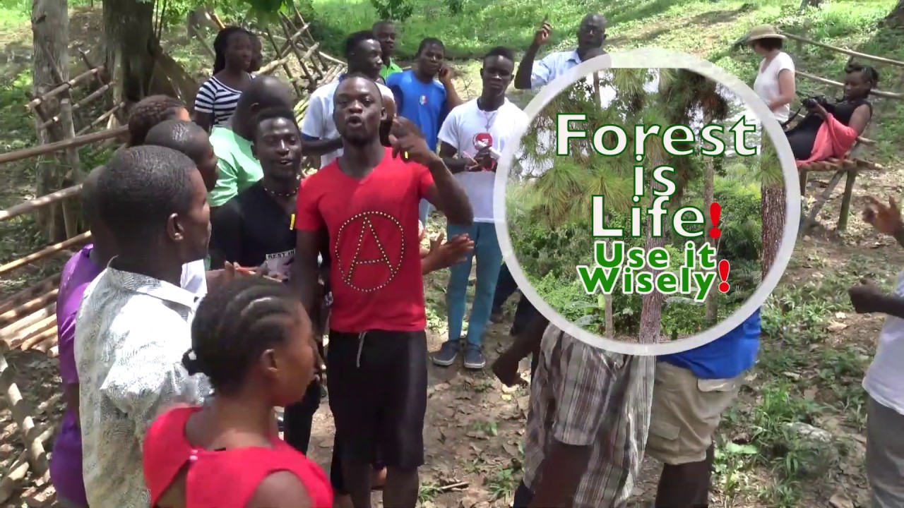 Liberia Forestry Institute - YouTube