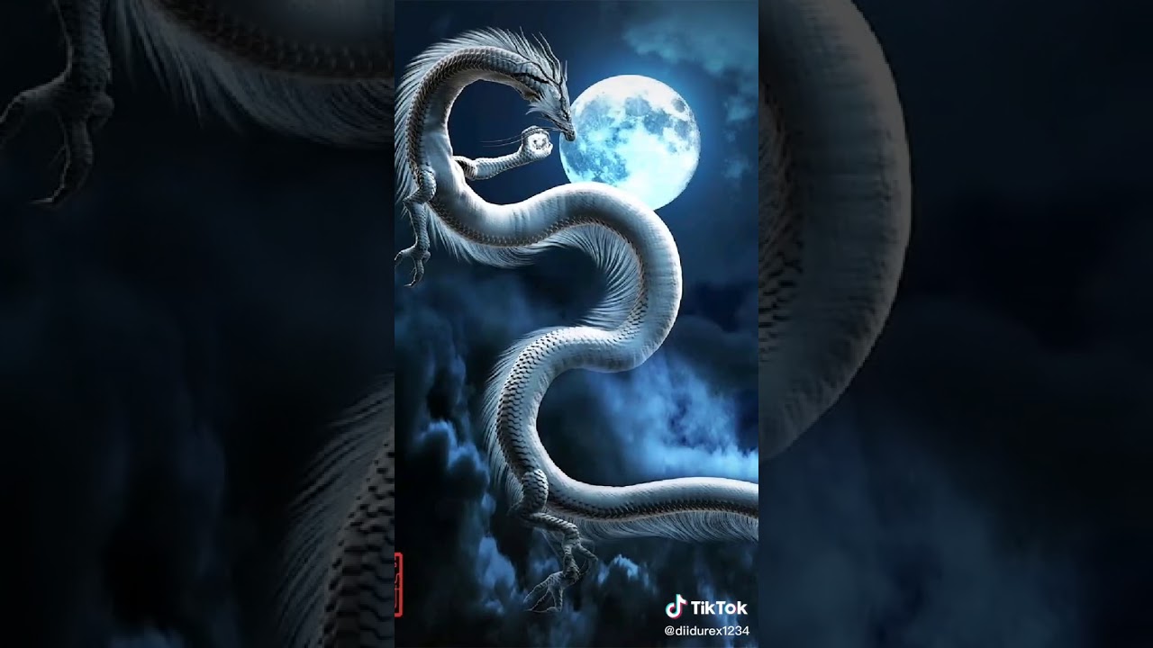 Dragon Tik Tok Youtube