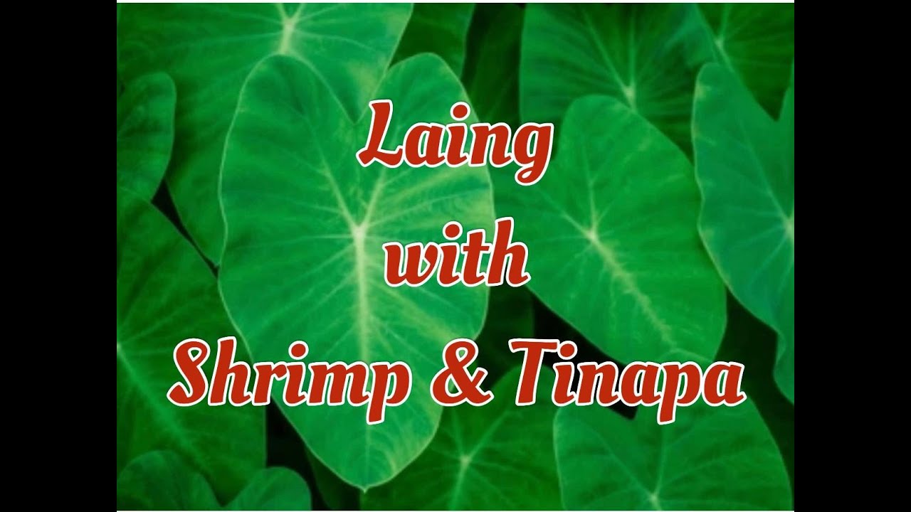 Laing with Shrimp & Tinapa Recipe | How to Cook Dried Taro Leaves ...
