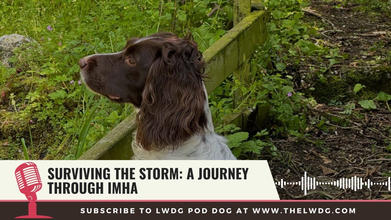 Episode 88 A Journey through Immune-Mediated Haematolytic Anaemia IMHA ...