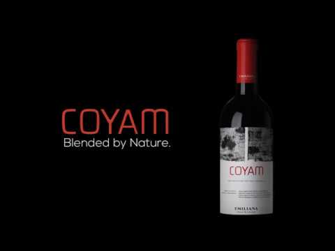 Coyam Emiliana vino Chile - YouTube