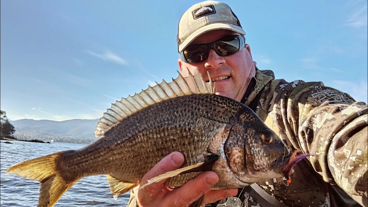 FlyFishing Vlog #6 Saltwater Flyfishing in Hobart - YouTube