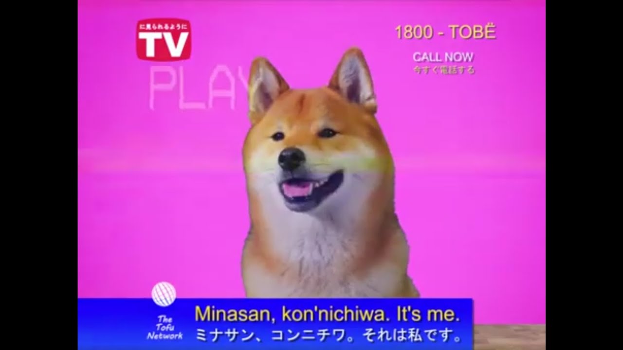 tofu Chan wants your bread - YouTube
