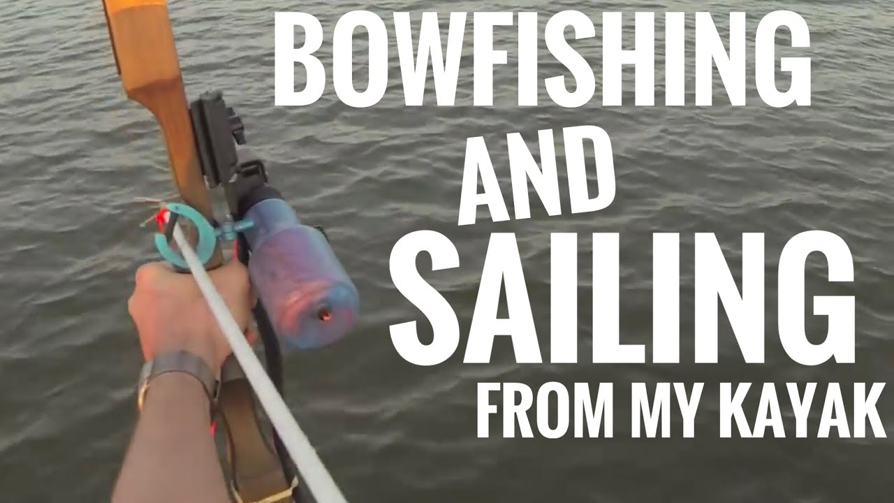 Bowfishing & Sailing From Hobie Pro Angler 14 Kayak - YouTube