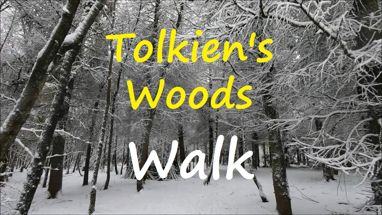 Snow Forest Walk At Tolkien's Woods - Virtual Trails For Treadmill ...