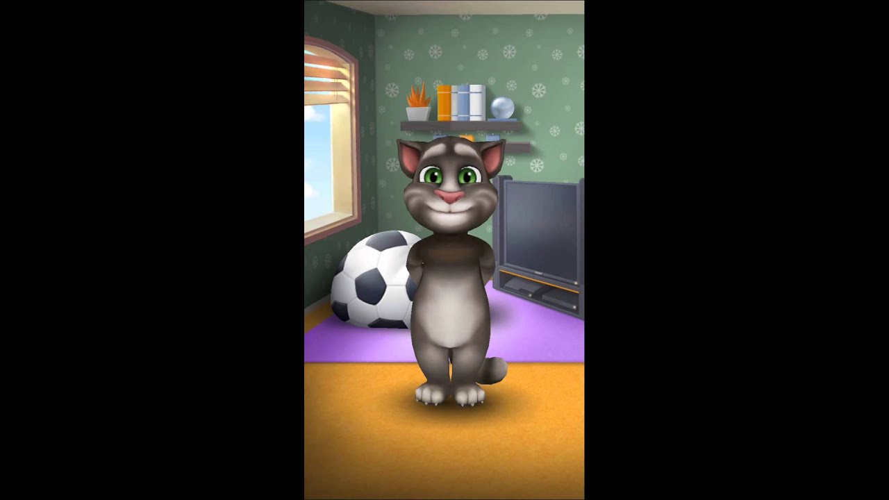 My Talking Tom Gameplay - YouTube