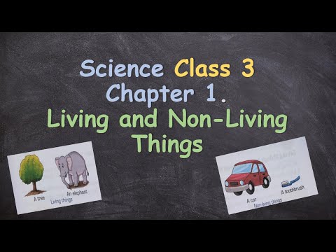 Living and Non Living Things ||Class 3 Science Chapter 1 || Grade 3 ...