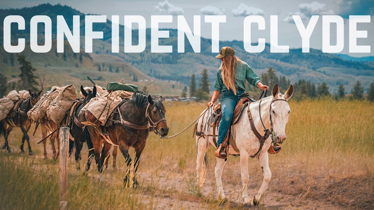 How My Mule Learned to Lead a Pack String in 3 Days - YouTube