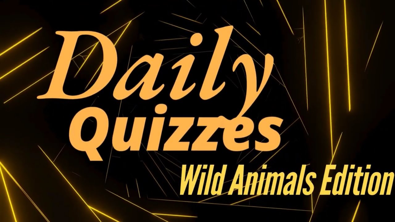 Daily Quizzes Wild Animals Edition Pt. 1 - YouTube