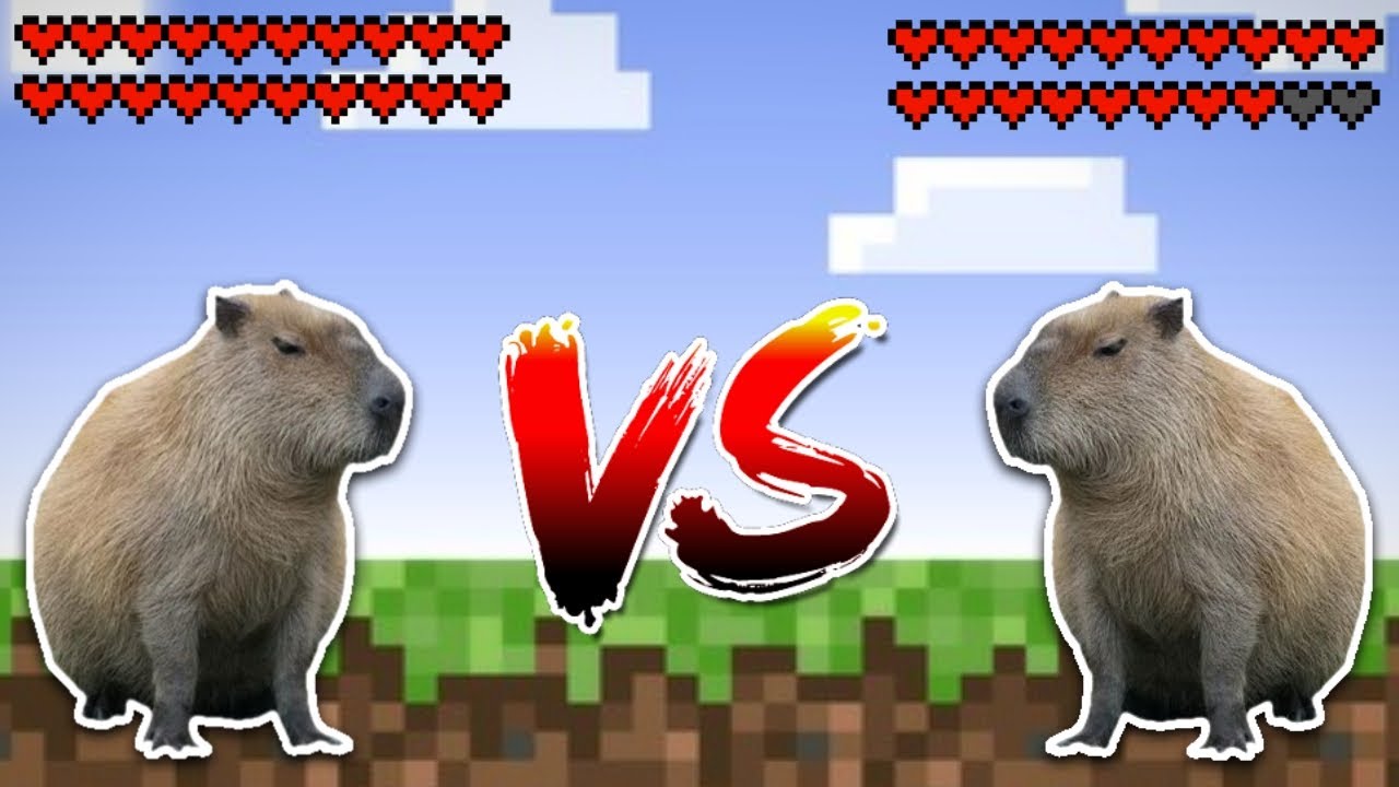 Capybara vs Capybara! Meme battle - YouTube