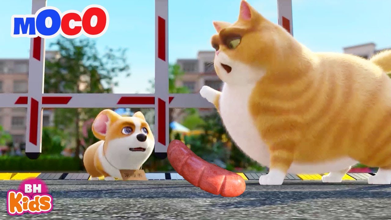 CHÚ CHÓ MOCO, tập 37: Chú chó bắt trộm - Cười Sảng Khoái Phim Hoạt Hình Hài Hước Hay Nhất - YouTube