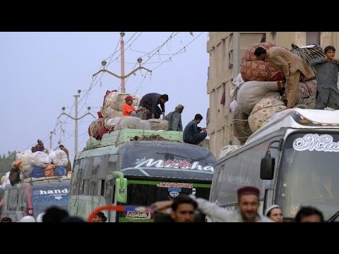 Афганские беженцы покидают Пакистан из-за угрозы принудительного ...