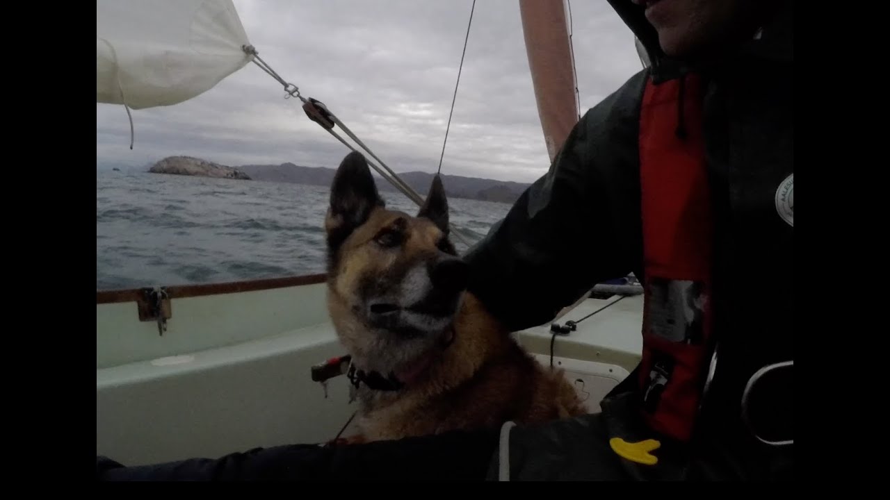 Sailing with my dog in Mexico - YouTube