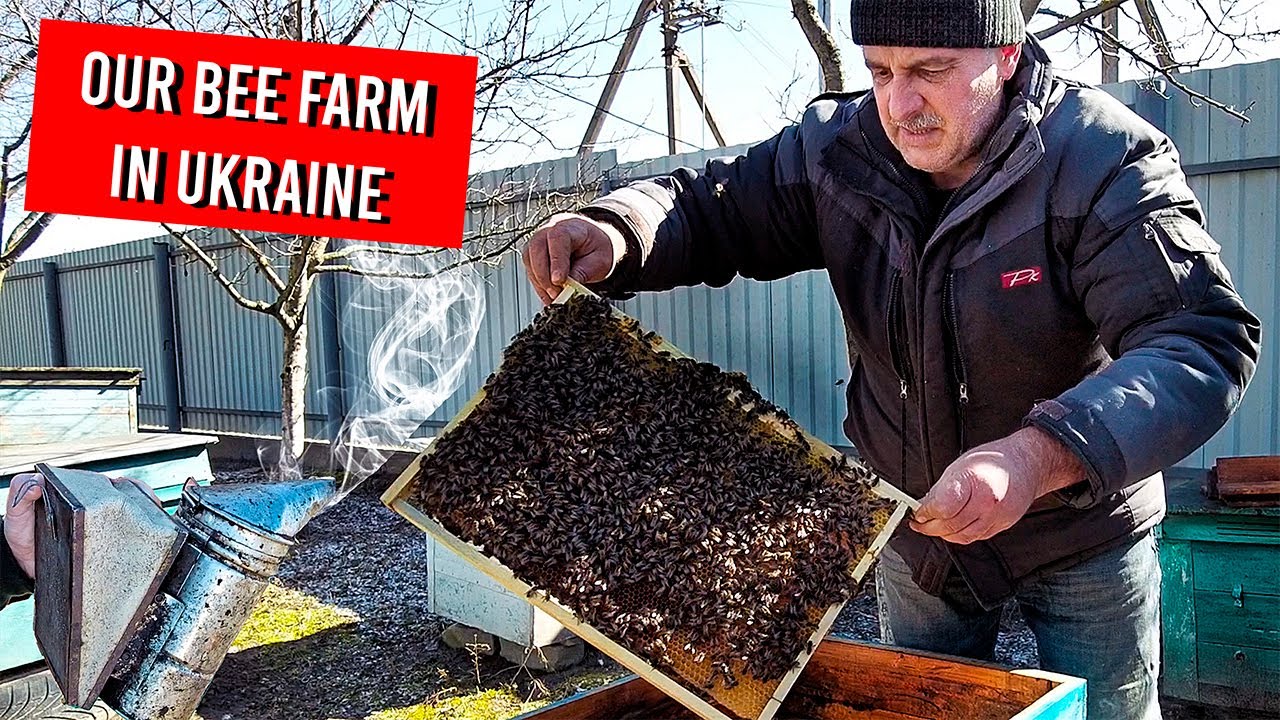 VILLAGE LIFE in UKRAINE I Bee Hives Preparation 2023 - YouTube