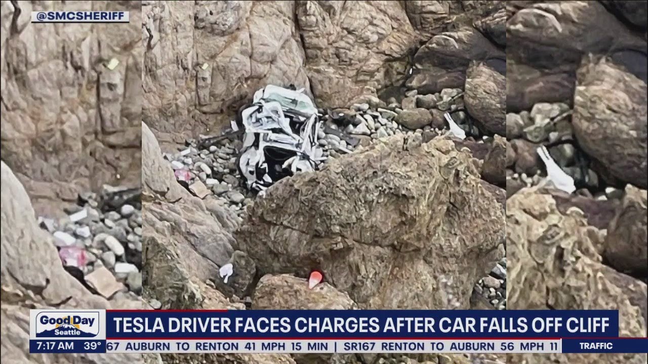 Tesla owner facing attempted murder charges for intentionally driving ...